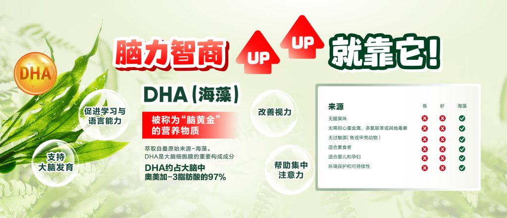 产品 - R3 mini - Chevin